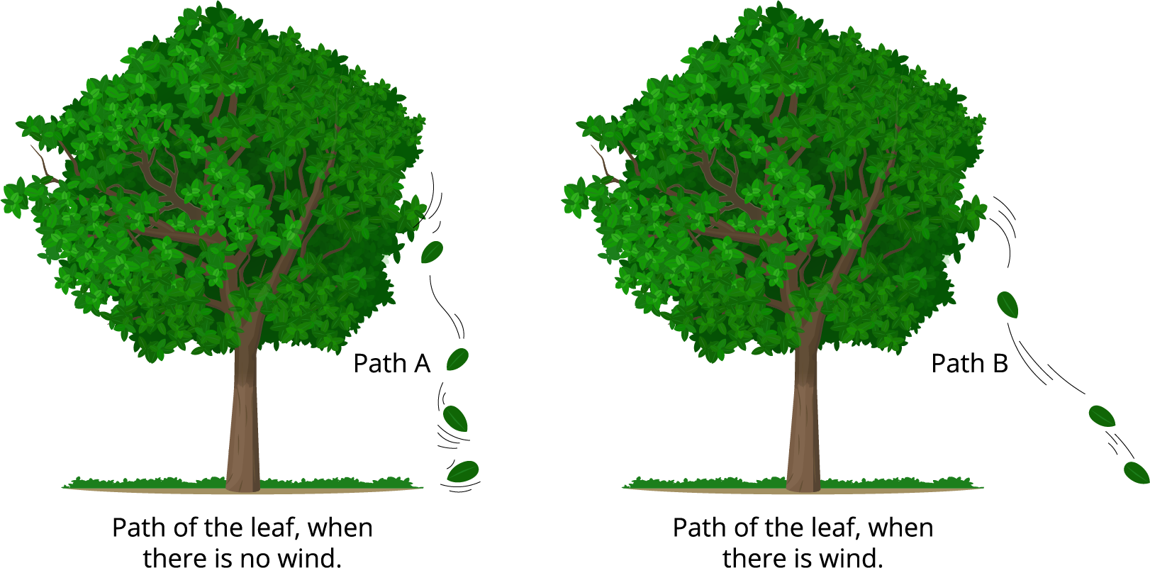 Distance and displacement — lesson. Science State Board, Class 7.
