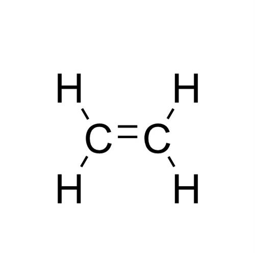 Ethylene and its physiological importance — lesson. Science CBSE, Class 10.