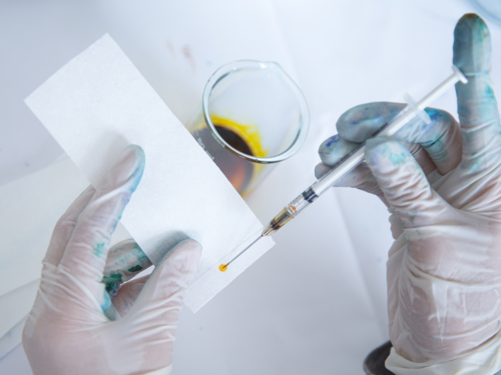 Paper chromatography — lesson. Science State Board, Class 9.