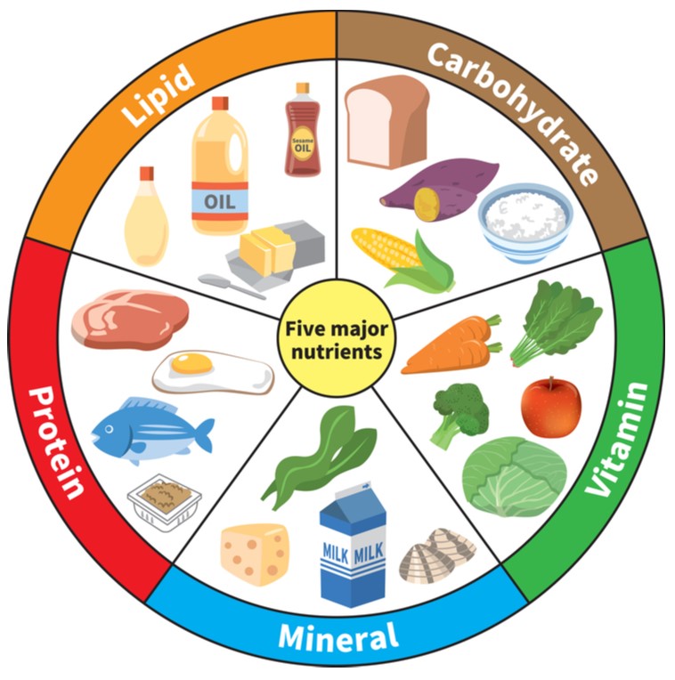 Introduction — lesson. Science State Board, Class 9.