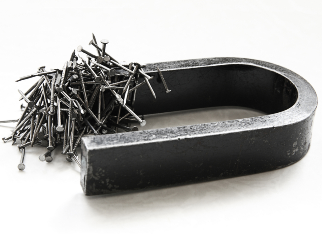 Magnetic and electrostatic force of attraction — lesson. Science CBSE ...