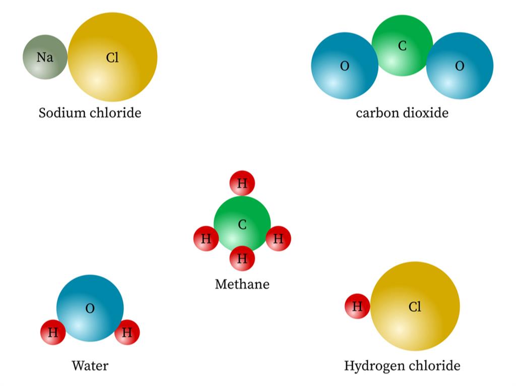 Difference between elements and compounds — lesson. Science State Board ...