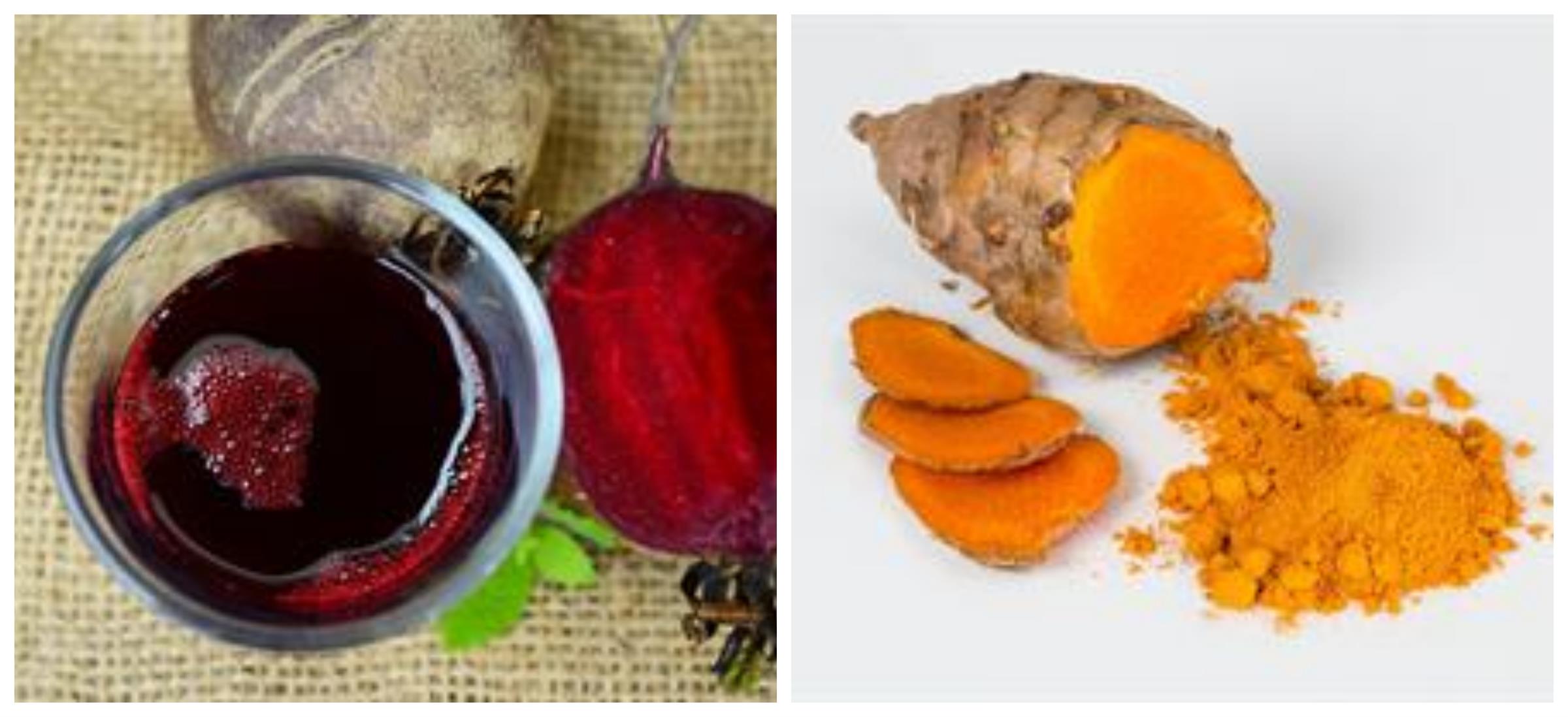 Natural indicators — lesson. Science State Board, Class 6.