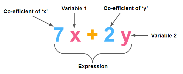 Expressions using variables — lesson. Mathematics CBSE, Class 6.