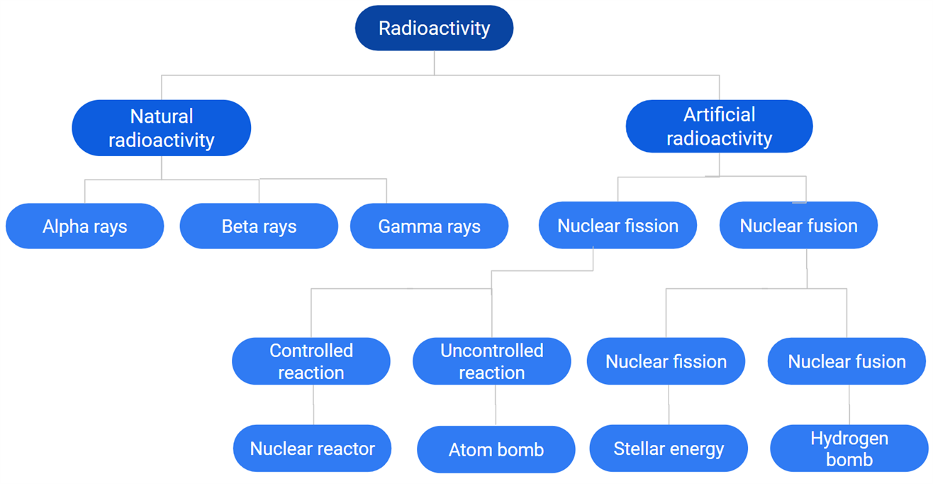 Mind map — lesson. Science State Board, Class 10.