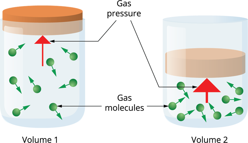 Fluids — lesson. Science State Board, Class 9.