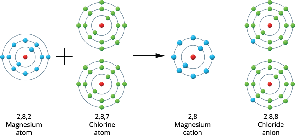 Formation of ionic bonding in NaCl and MgCl2 — lesson. Science State ...