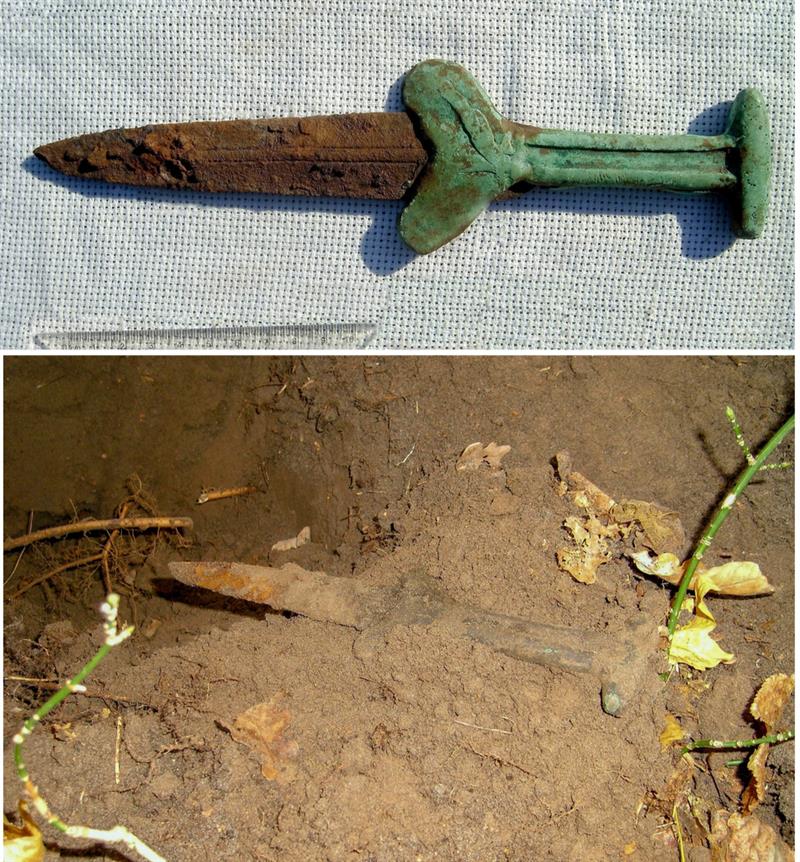 Life of the Iron age people — lesson. Social Science, Class 9.