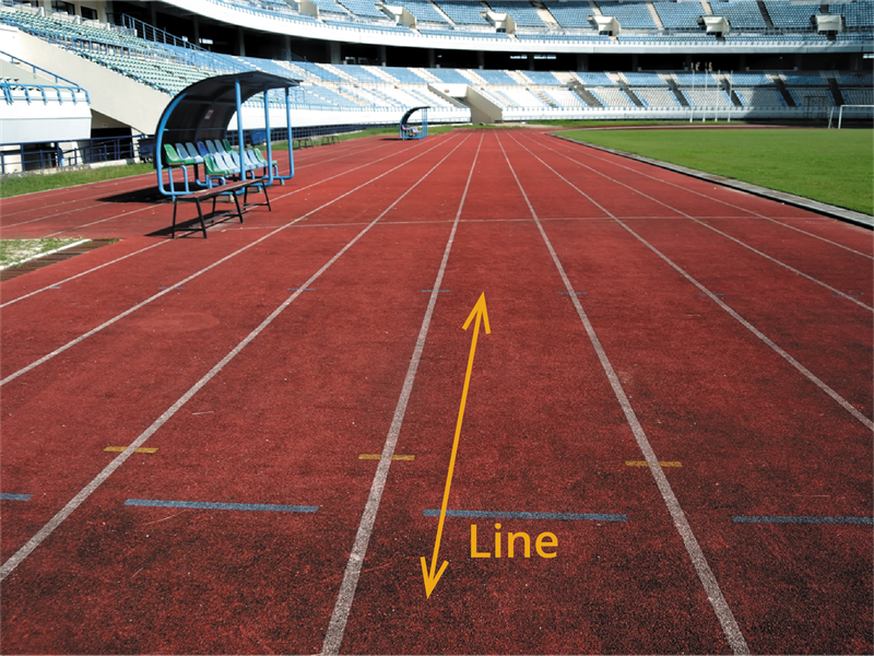 Line and ray — lesson. Mathematics CBSE, Class 6.