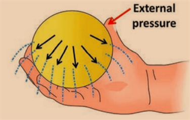 Pascal's law and surface tension — lesson. Science State Board, Class 8.