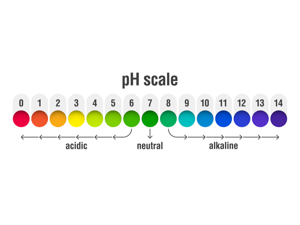 pH scale — lesson. Science CBSE, Class 7.