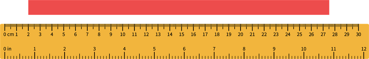 NCERT Exemplar IV — task. Science CBSE, Class 6.