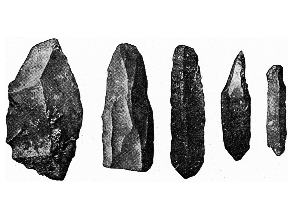 Prehistoric period — lesson. Social Science, Class 6.