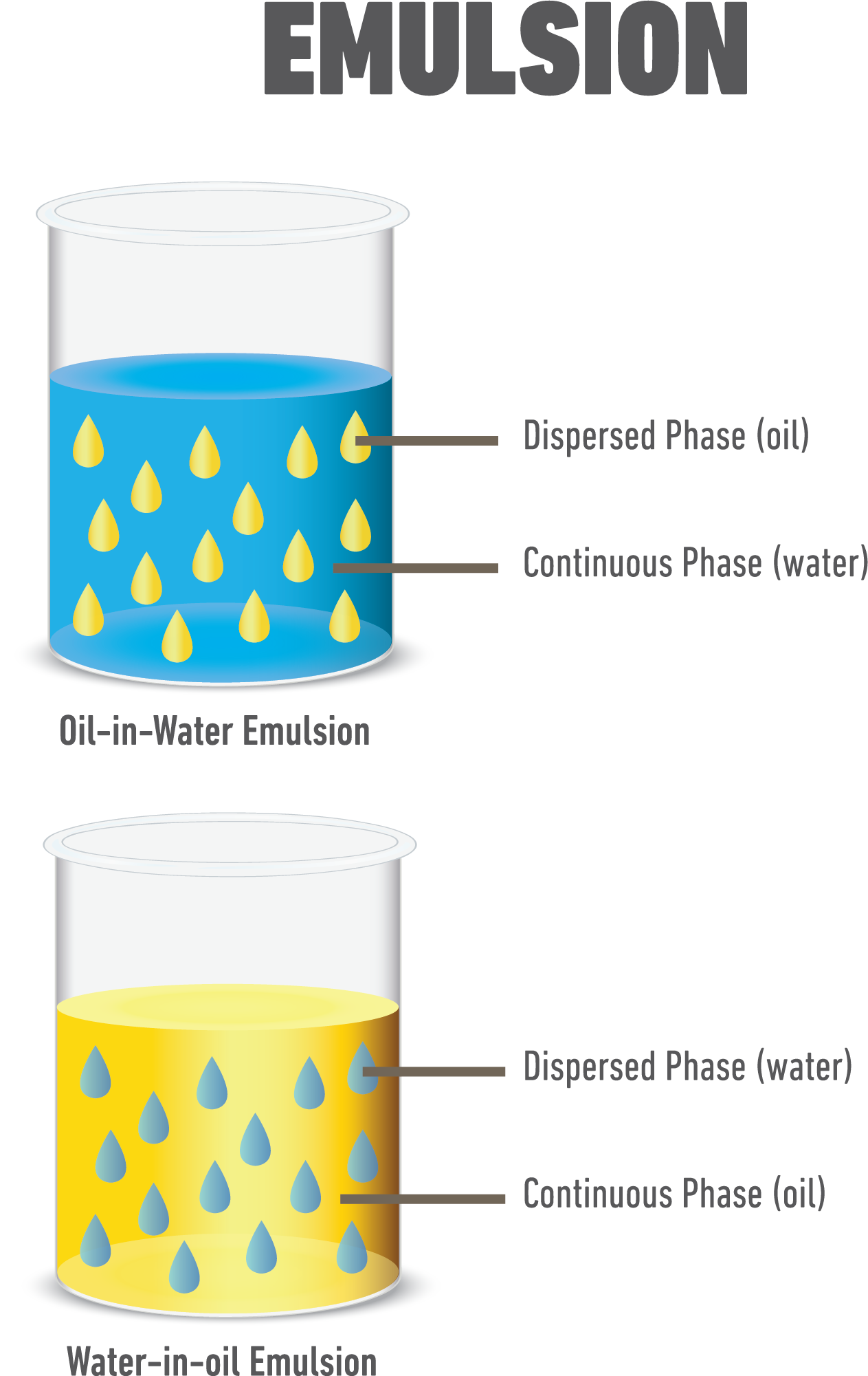 Emulsion and its types — lesson. Science State Board, Class 9.