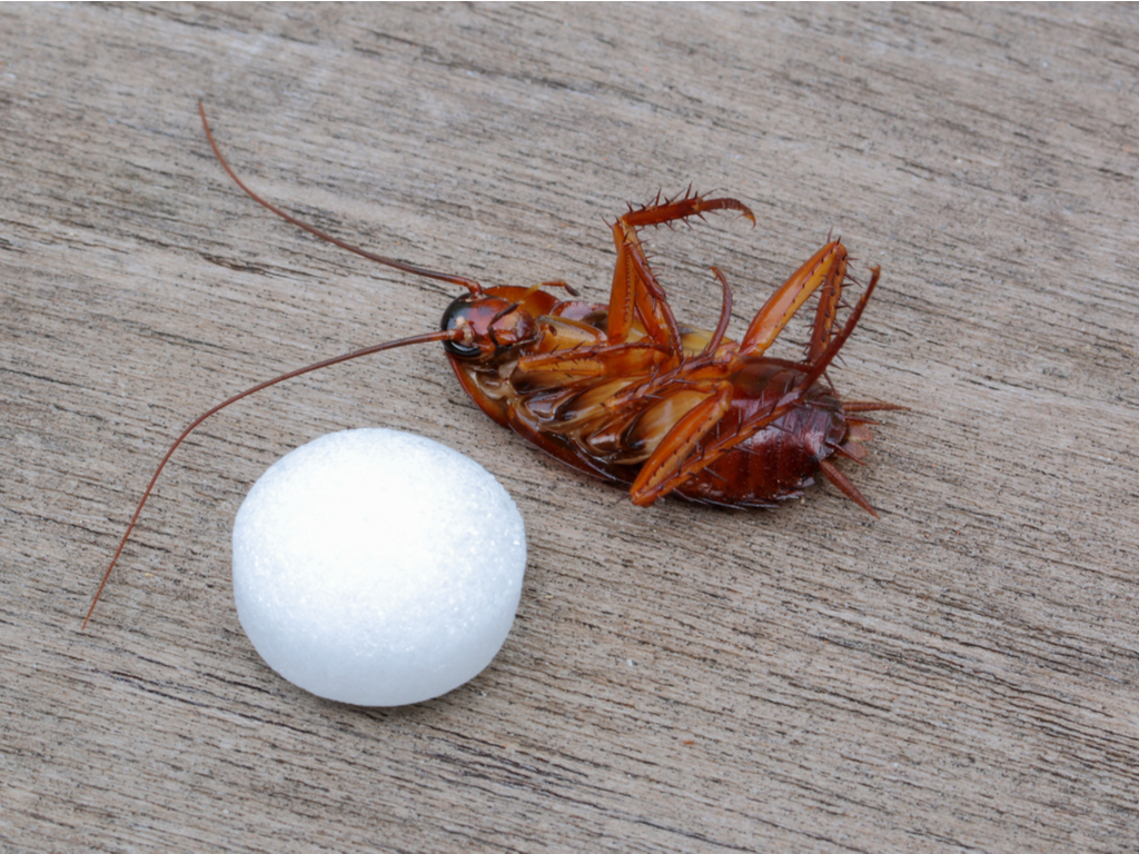 Sublimation and Crystallization — lesson. Science State Board, Class 7.