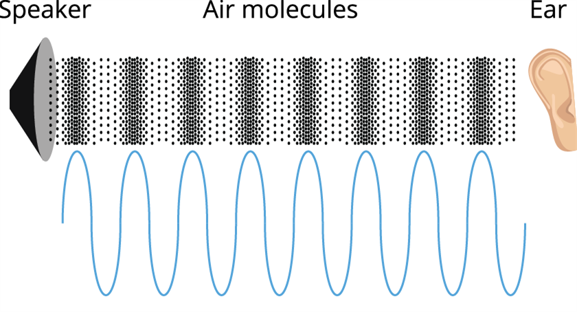 Amplitude,Time period,Frequency — lesson. Science CBSE, Class 8.