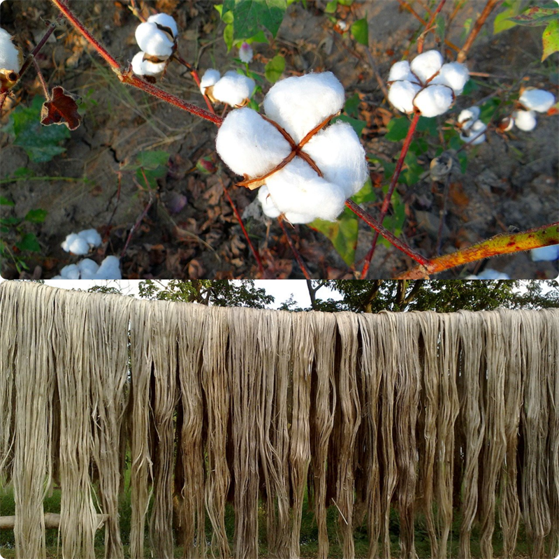 Animal fibres and wool — lesson. Science State Board, Class 7.