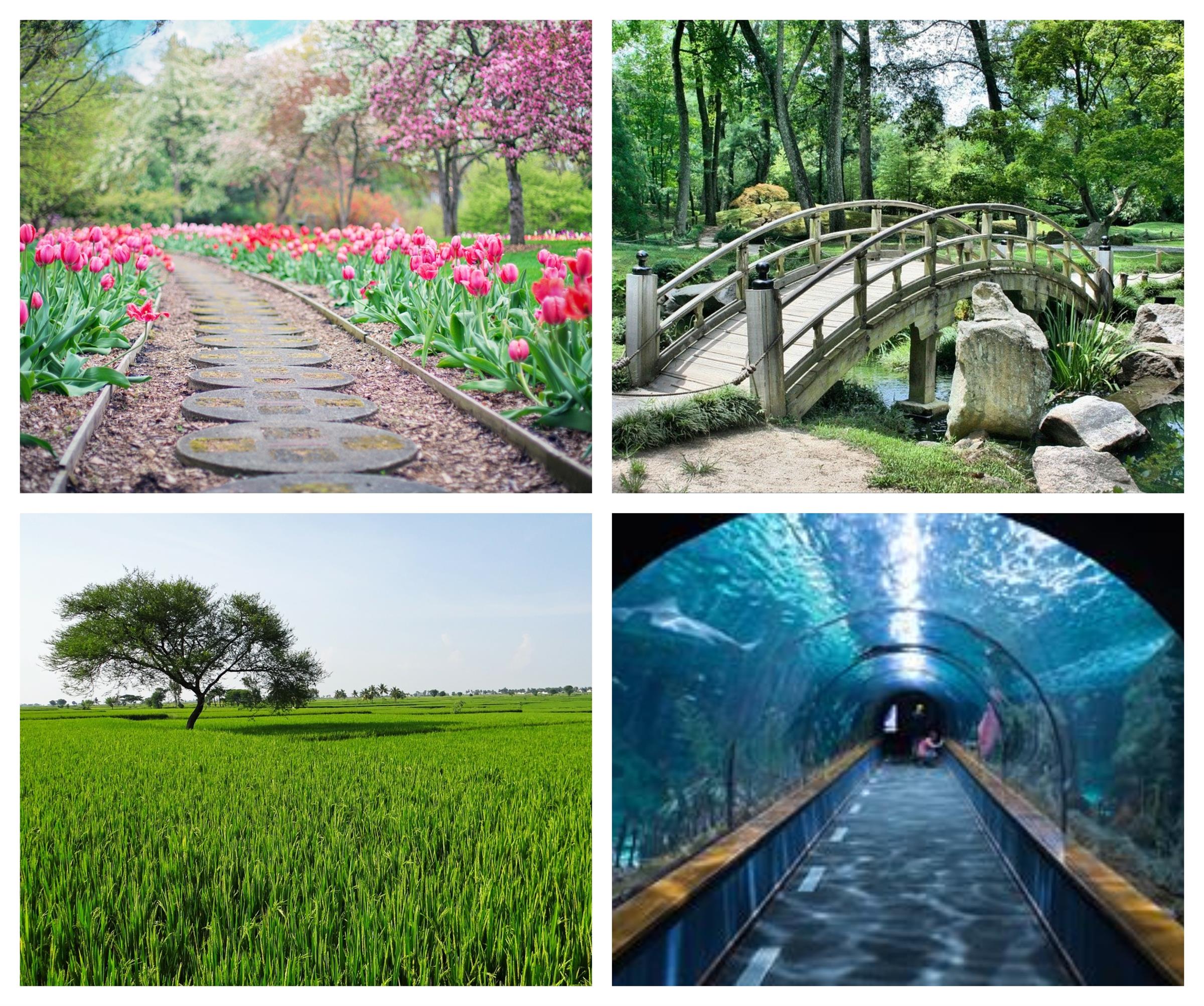 Classification of ecosystems — lesson. Science CBSE, Class 10.