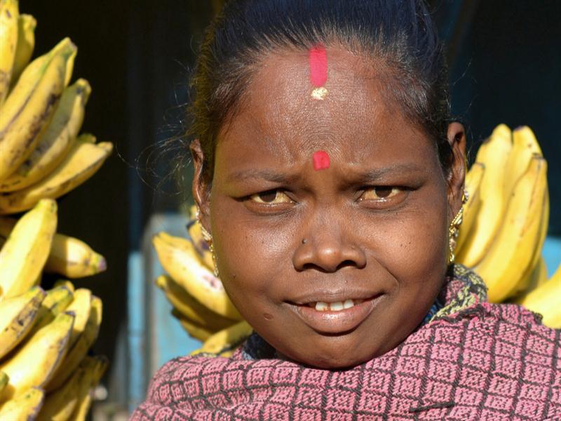 Race — lesson. Social Science, Class 7.