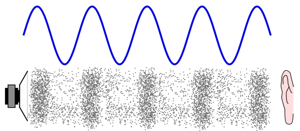 Wavelength of a sound wave — task. Science State Board, Class 8.
