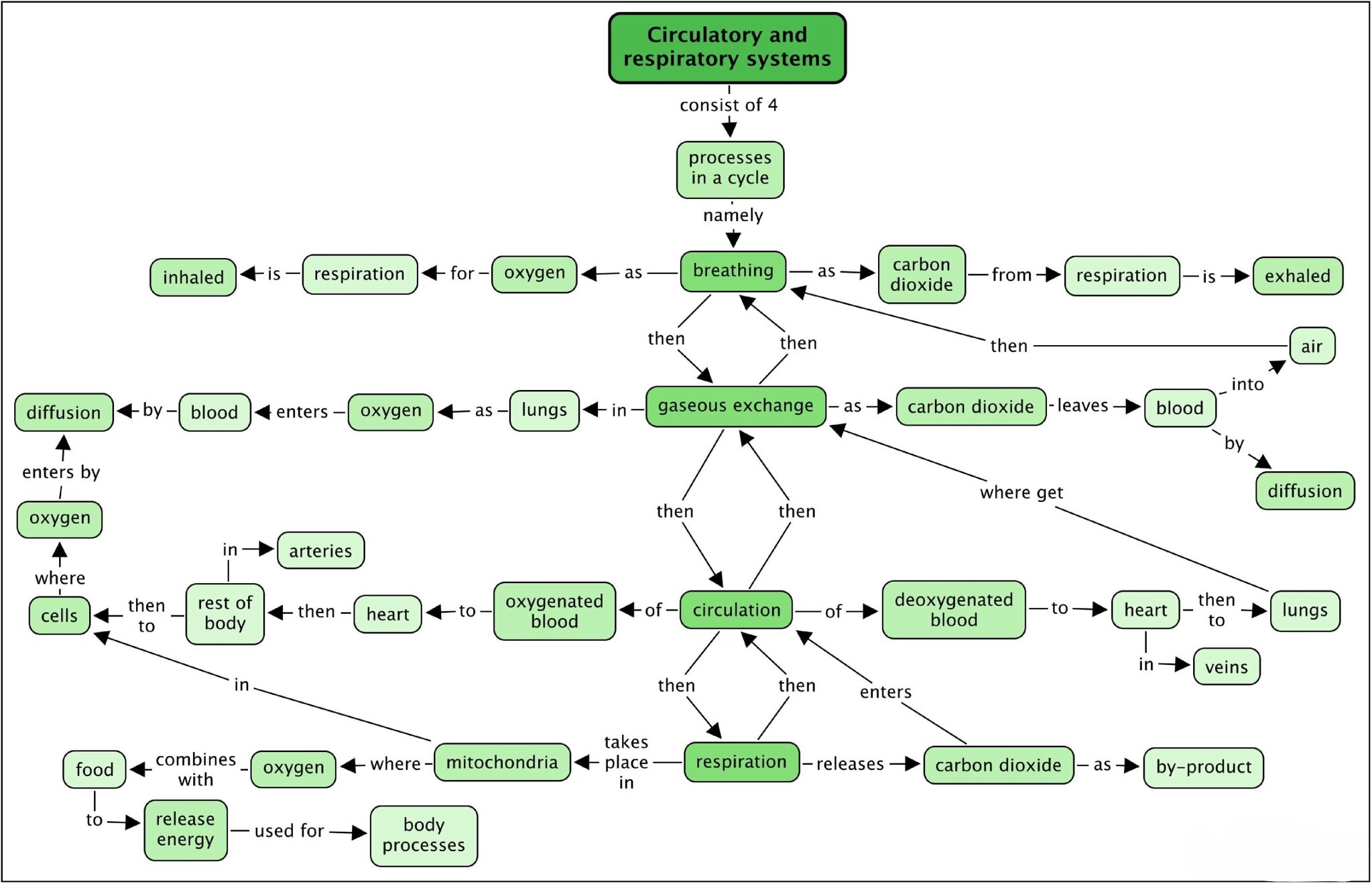 Mindmap — lesson. Science CBSE, Class 10.
