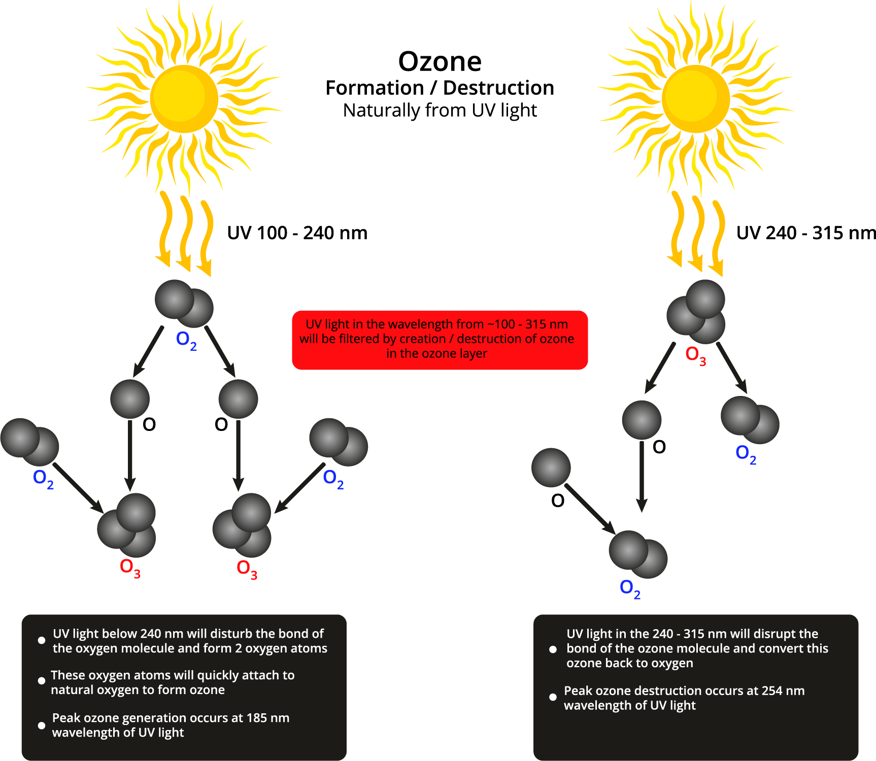 How do human activities affect the environment? — lesson. Science CBSE ...