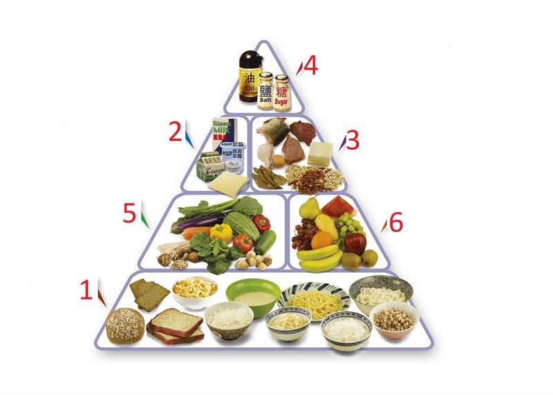 Viruses, food pyramid, and deficiency diseases — task. Science State ...