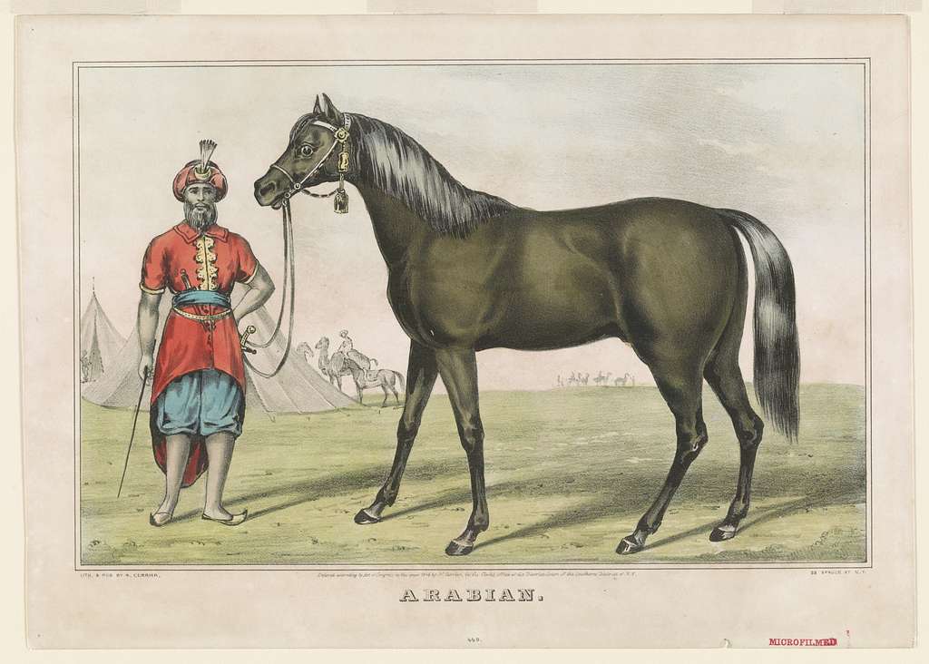 Polity & Society includes, State, Royal Officials Administrative ...