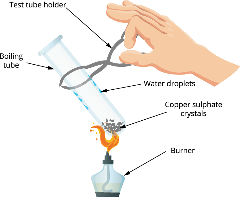 Are the crystals of salts really dry? — lesson. Science CBSE, Class 10.