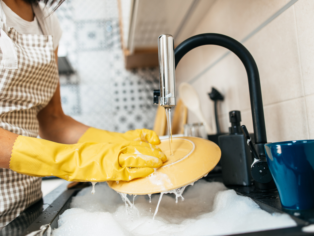 Introductory verbs — lesson. International English Language, General ...