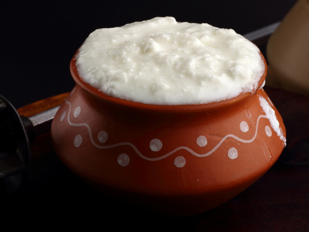 Fermentation: Curdling of milk — lesson. Science State Board, Class 7.