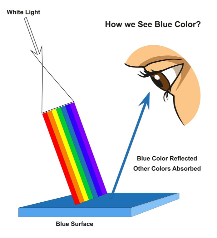 Inroduction to light — lesson. Science State Board, Class 8.